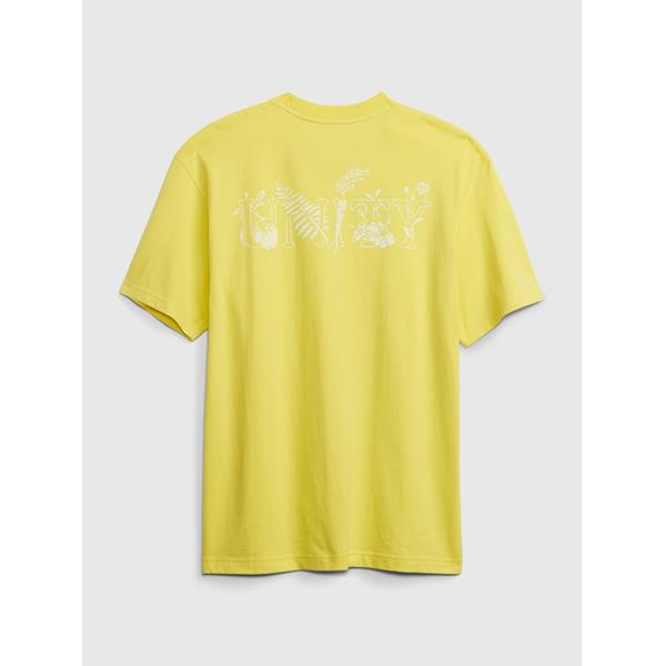 RFIN GRAPHIC T SHOOTING STAR | Gibbons
