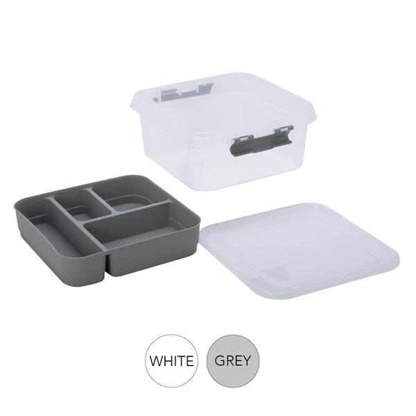 2 TIER STORAGE BOX W/REMOVABLE DIVIDERS- AS | Gibbons