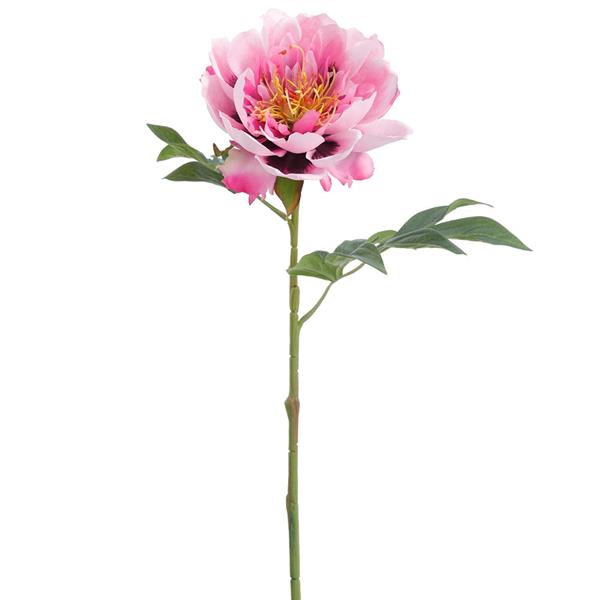 19.5IN PEONY SPRAY PURPLE | Gibbons